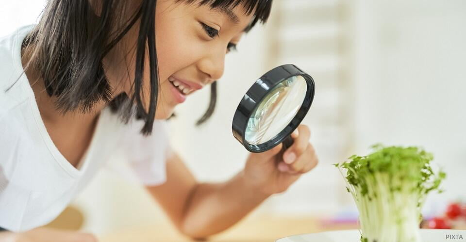 A summer vacation full of learning opportunities! Benesse’s ‘Summer ...